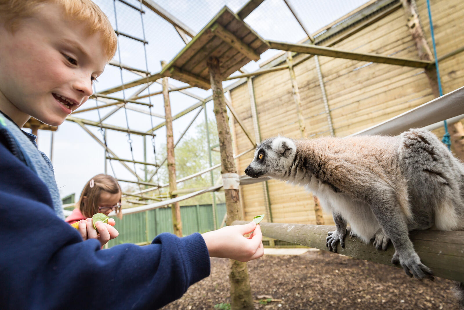 Book Experience - Hoo Zoo Experiences